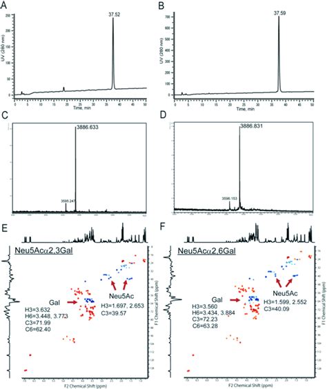 Three Dimensional Structure Of Human Clusterin Predicted By The Neural