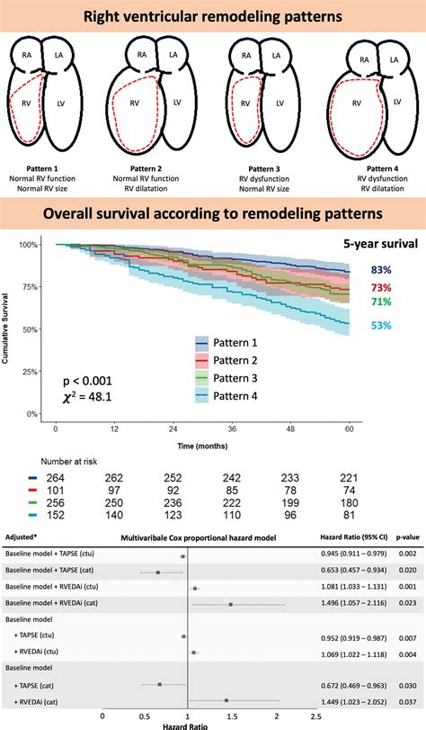 Prognostic Implications Of Right Ventricular Size And Function In Patients Undergoing Cardiac