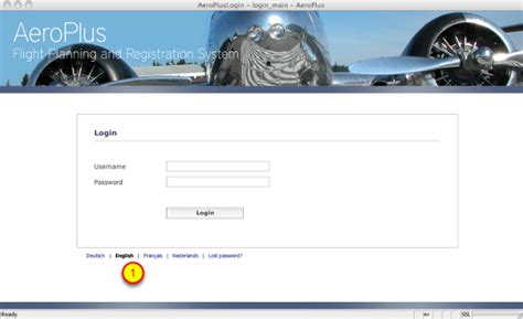 Logging In Using Java Application Or Webbrowser