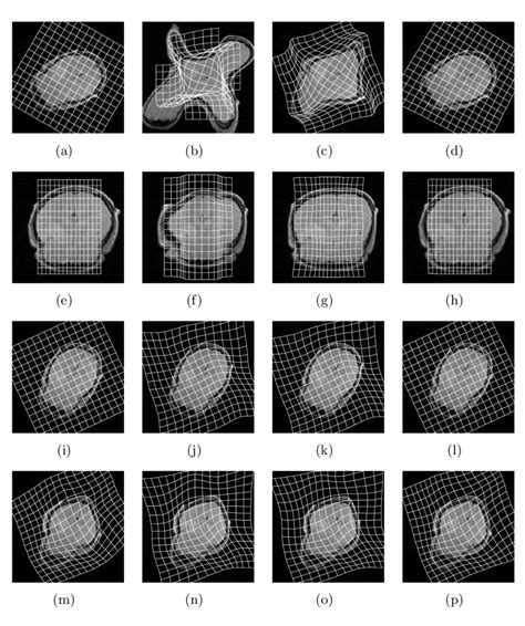 First Two Rows Target Images On The Left Generated From The Source
