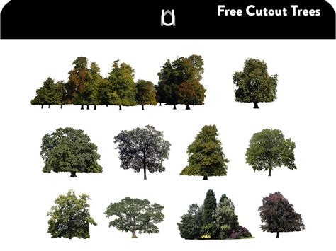 Free Photoshop Cutout Trees Understanding Architecture