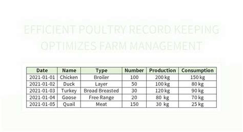 Improving Farm Management With Effective Poultry Record Keeping Excel Template Free Download