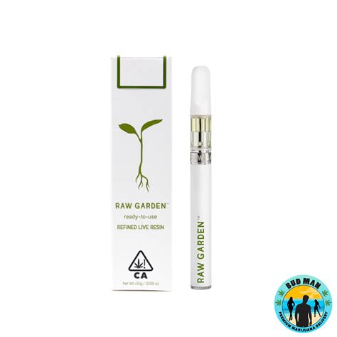Dime Disposable Vape Pen And Cartridge Set 1 Gram 15 Options Bud