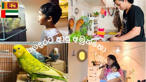 ගෙදරට ආපු අමුත්තෝ Geethrusdiary Youtube