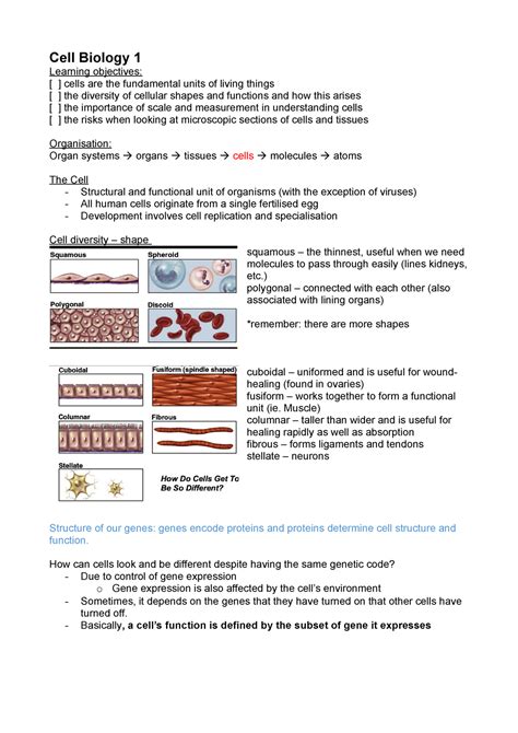 ANHB Cell Biology Lecture Notes Summary Cell Biology Learning Objectives Cells Are