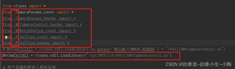 Ubuntu 2004 安装海康工业相机mvs Python 二次开发mvs软件 Csdn博客