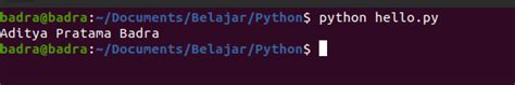 Apa Itu Python Duduk Dulu