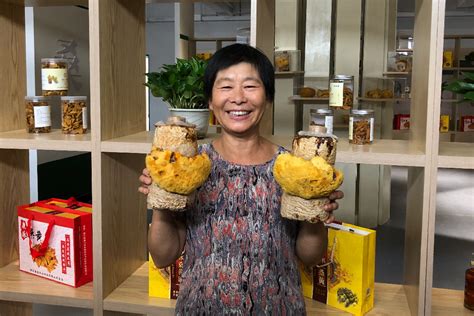 海宁袁花全域布局共富工坊新赛道谱写美丽城镇建设新篇章