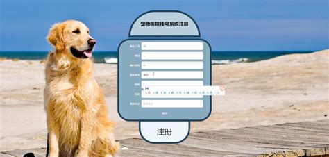 【开题报告】ssm宠物医院挂号系统r0f38计算机毕业设计程序 Csdn博客