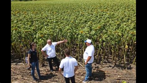 ИНОВАТИВНИ РЕШЕНИЯ ЗА АЗОТНО ХРАНЕНЕ НА КУЛТУРИТЕ ОТ СУММИТ АГРО Youtube