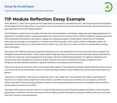 Tip Module Reflection Essay Example