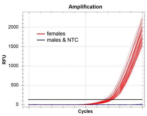 Tunatech Trials Boast 100 Success In Early Sturgeon Sex Assignment Hatchery