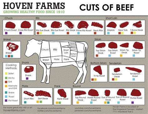 Diagram Cuts Of Meat Diagram Of A Cow Meat Cuts