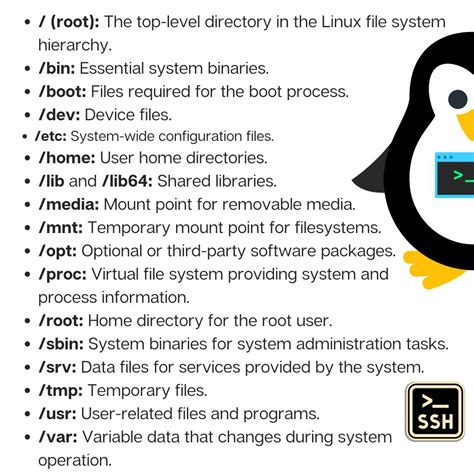 Noor Maryam On Linkedin Infosec Pentesting Cybersecurity Kalilinux
