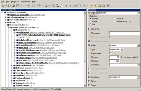 Editor For Creating The Tree Structure The Right Side Of The Screen Download Scientific