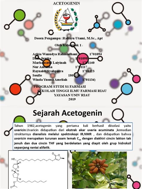 Senyawa Acetogenin Dari Daun Sirsak Annona Muricata L Sebagai Agen Anti Kanker Potensial Pdf