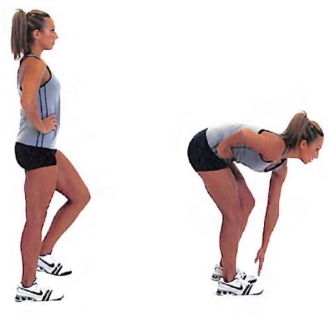 Nasm Practice Questions Flashcards Quizlet