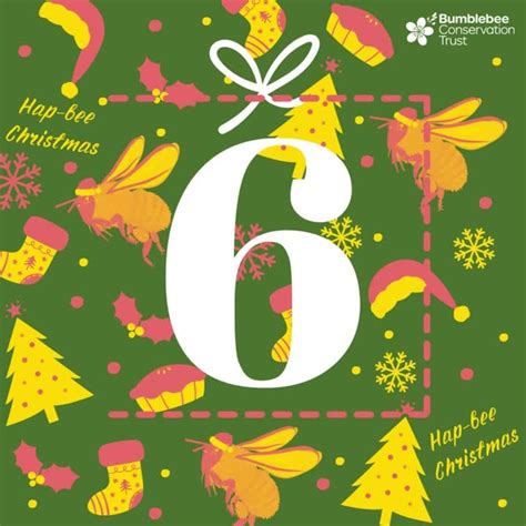 Bumblebee Conservation Trust On Linkedin 🦌6️⃣🦌 Its Day 6 Of Our