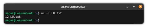 Count Lines In A File In Ubuntu Command Line