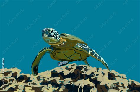 Drawing Of A Turtle The Turtle Is Drawn With Various Sets Of Brushes In Adobe Photoshop Stock