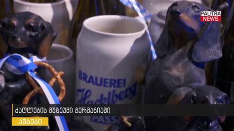 ძაღლების მუზეუმი გერმანიაში Youtube