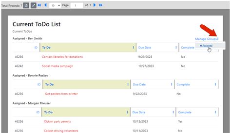 Customizing A Default Report