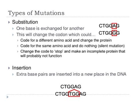08 Transcription Translation And Mutation Pptx Programming