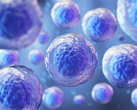 What Is Regenerative Medicine Stemx Clinic