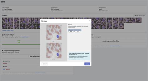 Yolov4 Ten Tactics To Build A Better Model