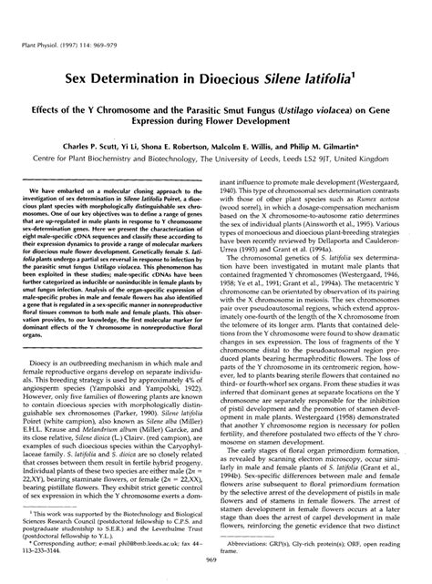 Pdf Sex Determination In Dioecious Silene Iatifolia Effects Of The Y Chromosome And The