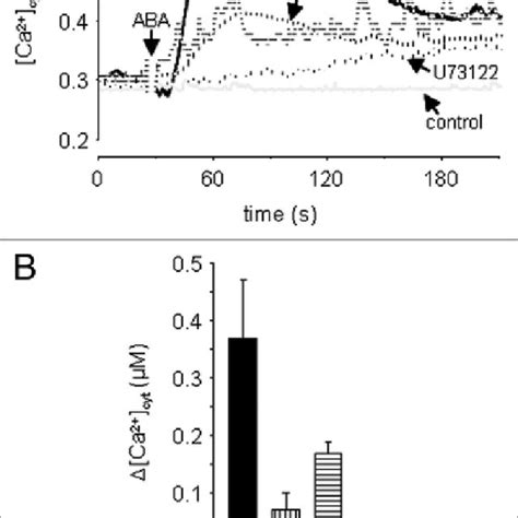 A Typical Medium Alkalization Induced By Aba 10 μm In A Thaliana Download Scientific