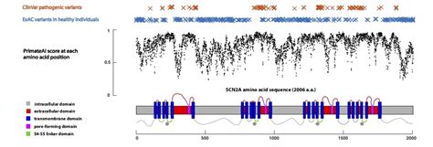 Predicting Clinical Impact Of Human Mutation With Deep Neural Networks