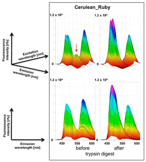 Biosensors Special Issue Fret Based Biosensors