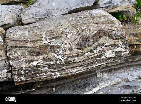 Flint Layers And Nodules In Limestone This Photo Was Taken In Saint