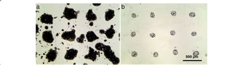 Soil Laser Micro Sampling LMS With Water A And With An Addition Of Download Scientific