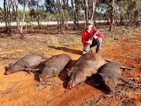 Mounting And Zeroing Rifle Scopes Step By Step Sporting Shooter