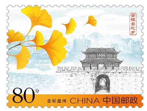 PP金彩盘州发行通告 搜狐大视野 搜狐新闻