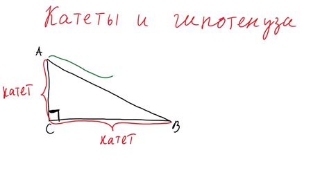 Катеты и гипотенуза Youtube