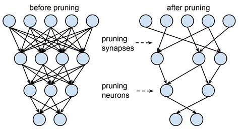 Pruning Neural Networks Neural Networks Can Be Made Smaller And By Rohit Bandaru Towards