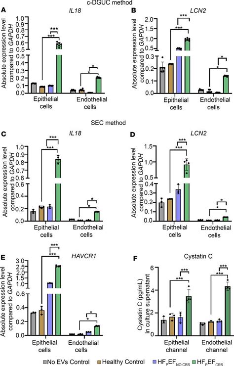 Jci Insight Circulating Extracellular Vesicles In Human Cardiorenal