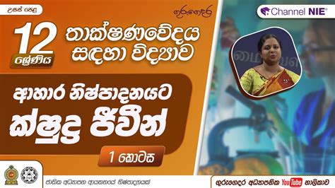ආහාර නිෂ්පාදනය සඳහා ක්ෂුද්‍ර ජීවීන් යොදා ගැනීම 12 ශ්‍රේණිය තාක්ෂණවේදය සඳහා විද්‍යාව Youtube