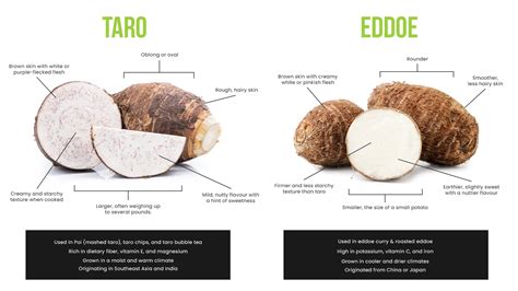 The Difference Between Taro And Eddoe City Wide Produce