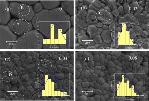 A D The Scanning Electron Microscope Sem And Corresponding Grain Size Download Scientific