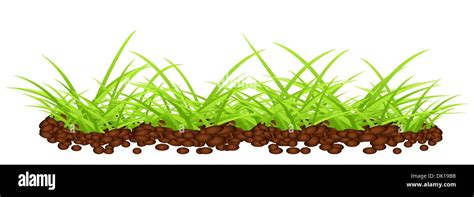 Vector Fresh Grass Design Plant Stock Vector Image And Art Alamy