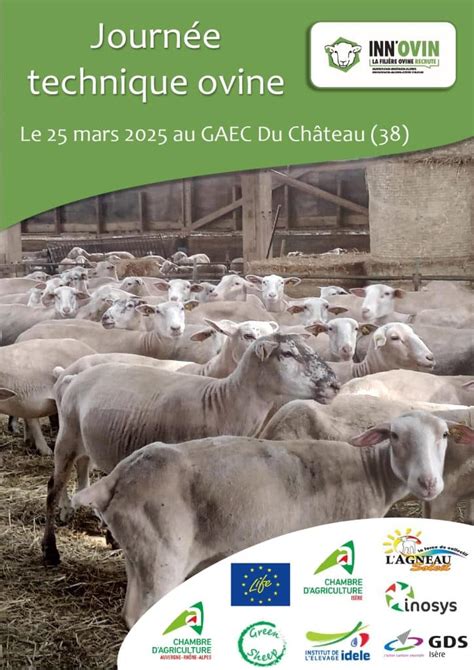La Filière Ovine