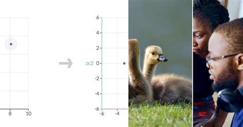 List Clustering Curated By Shubham Badaya Medium