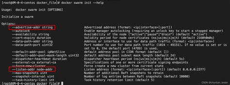 Docker Swarm Docker 服务集群 Csdn博客