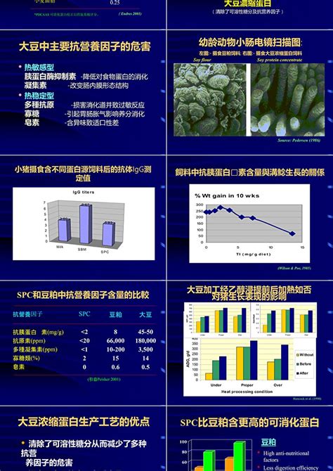 大豆浓缩蛋白的应用ppt 卡卡办公