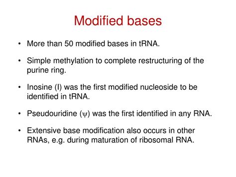 Ppt Chapter 3 The Versatility Of Rna Powerpoint Presentation Free Download Id 6927506
