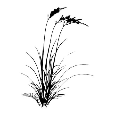 Free Download Grass Tree Plant Silhouette Premium Vector